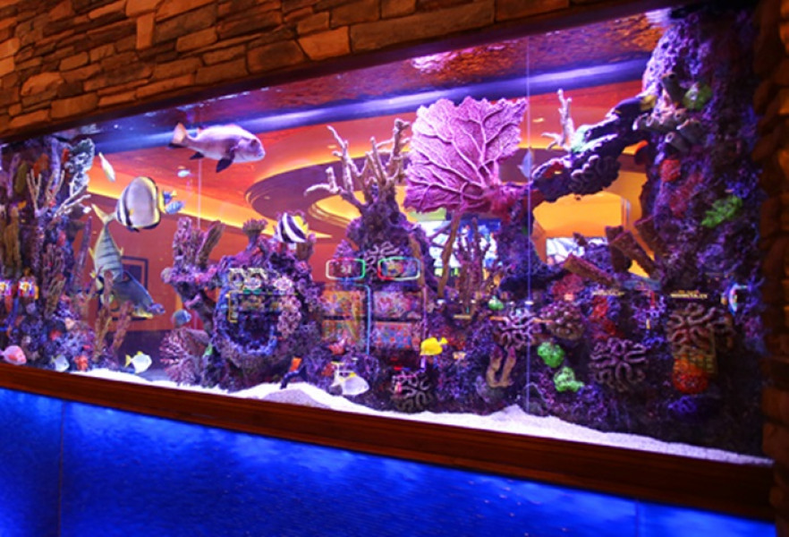 Valley View Casino & Hotel